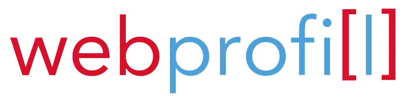 WEBprofil - Gernot Ploiner e.U. - Leadinfo Solution Partner